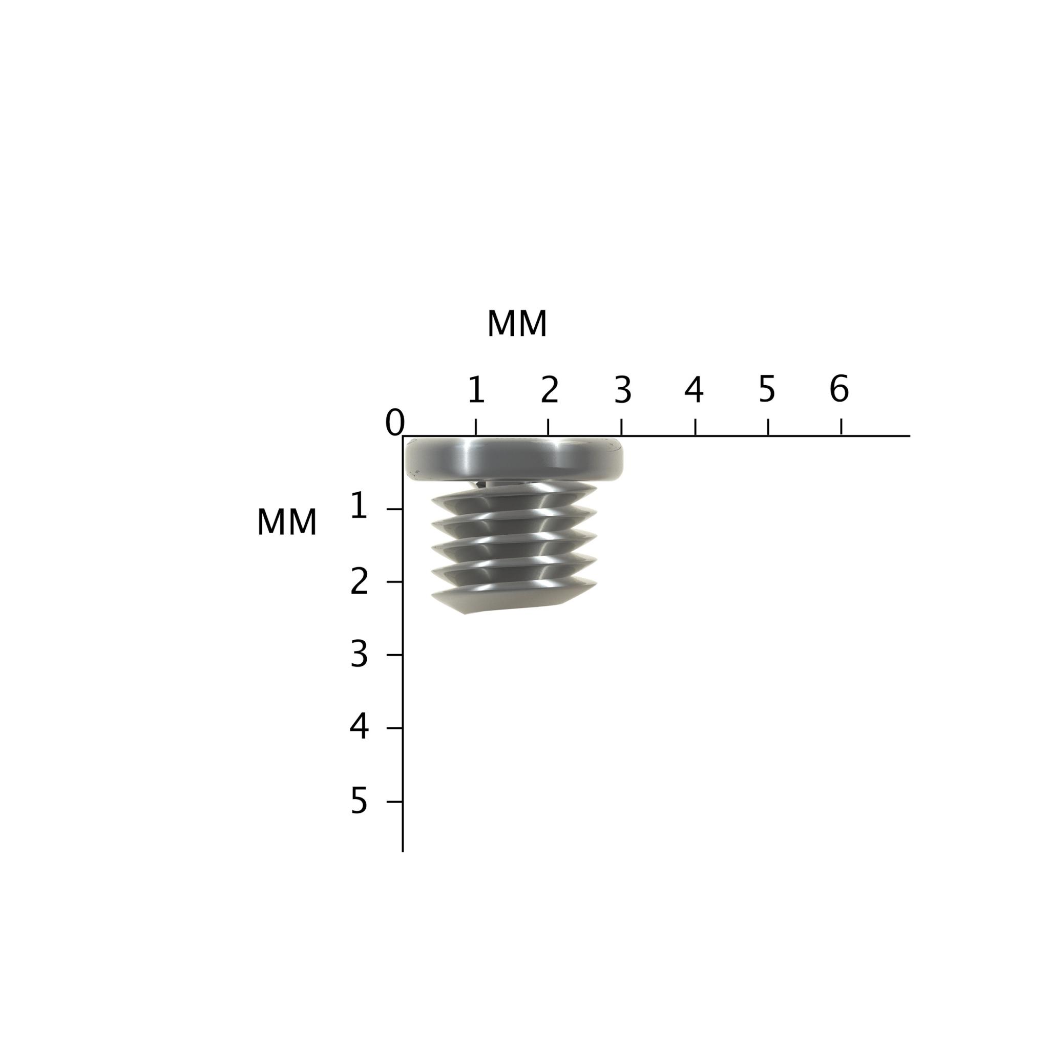 12 pack of M2x2 Silver T5 Torx Machine Screw